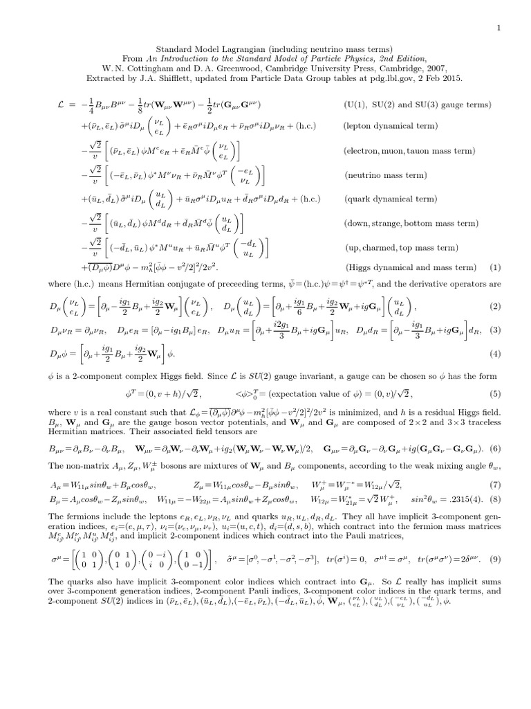 Standard Model Formula | PDF | Standard Model | Higgs Boson