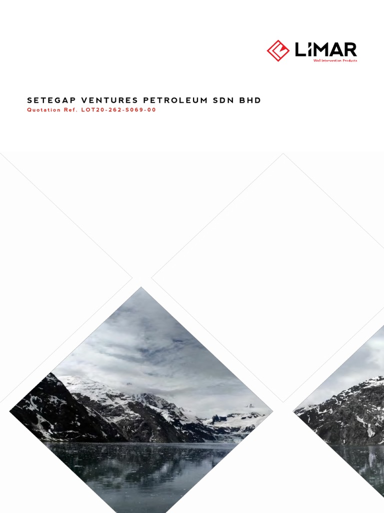 LiMAR - Shifting Tool | PDF | Invoice | Business