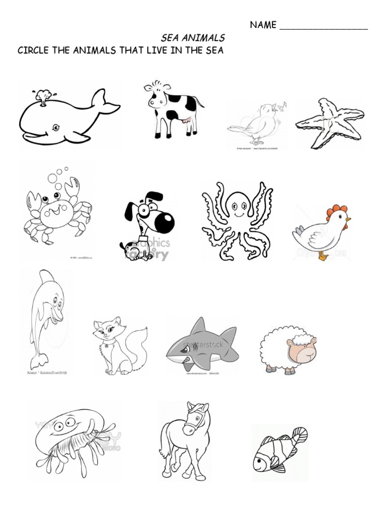 Worksheet Circle The Animals That Live in The Sea | PDF