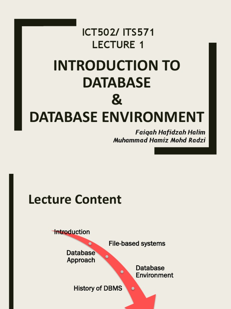 Lecture 1 Introduction To Db And Db Environment Pdf Databases