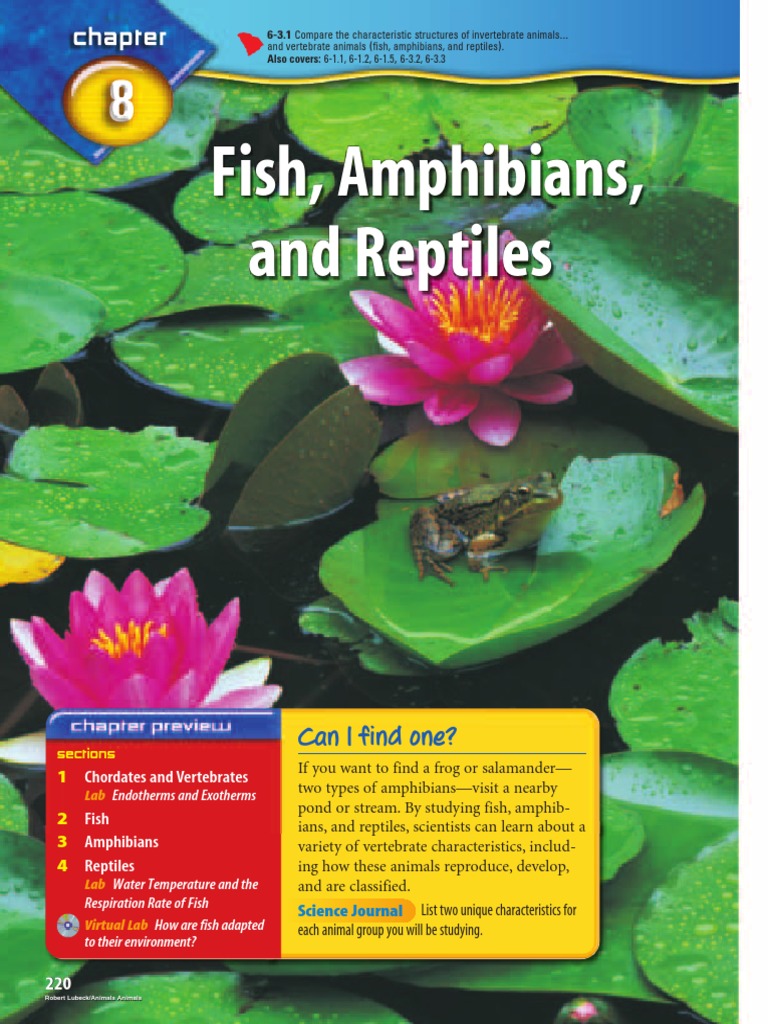 Characteristics of Fish, Amphibians, Reptiles | PDF | Fish | Amphibian