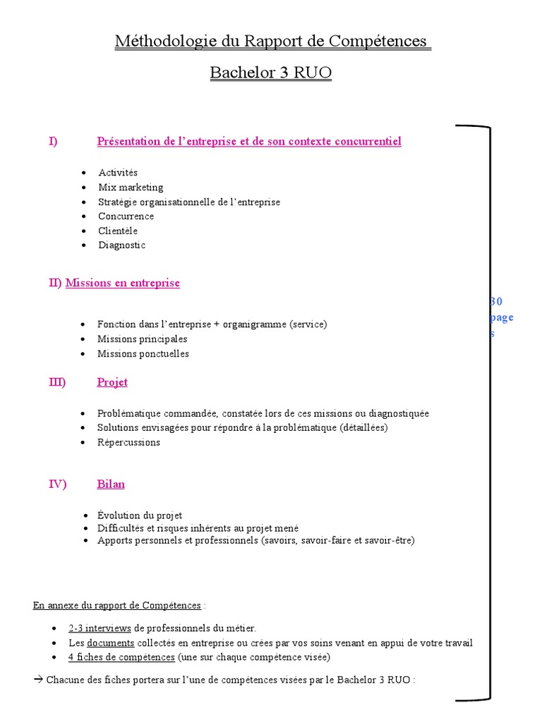 Rapport de Compétences Bachelor 3 RUO | PDF | Gestion des ressources ...