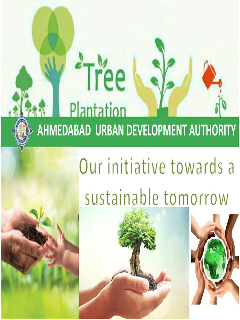 Tree Plantation Presentation 06122019052237774 | PDF | Trees | Street