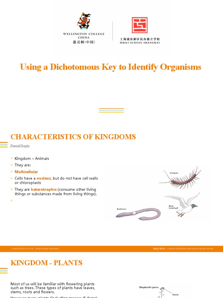 Identifying Organisms Using A Key | PDF | Plants | Leaf
