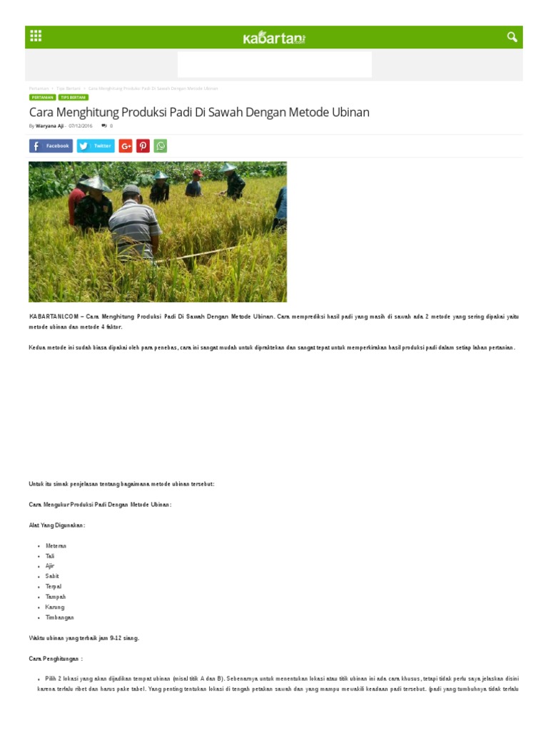 Cara Menghitung Produksi Padi Di Sawah Dengan Metode Ubinan | PDF