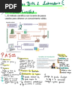 Trifolio de Experimento El Pez Globo | PDF