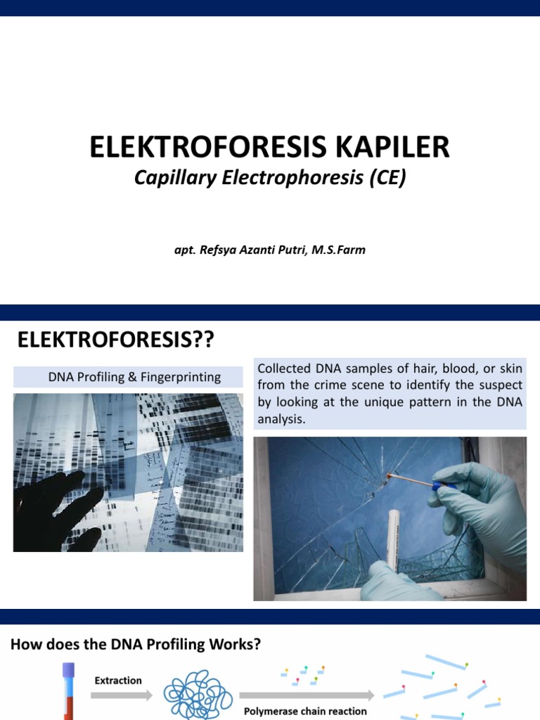 Capillary Electrophoresis | PDF