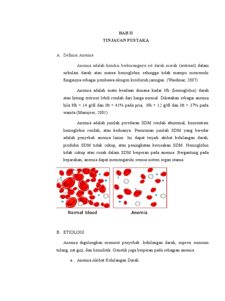 LP Anemia Anak Rsud Al Ihsan | PDF