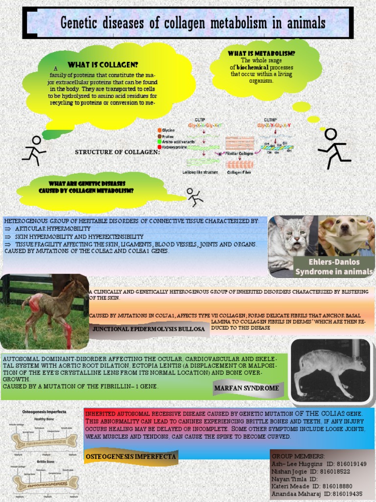 Biochemistry Poster | PDF | Collagen | Genetic Disorder