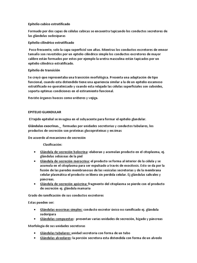 Epitelio Cubico Estratificado | PDF | Tejido conectivo | Epitelio