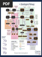 Steroidogenic Pathways Chart | PDF