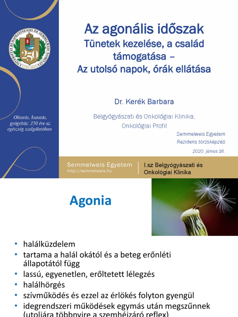 08 - Kerék Barbara Agonális Időszak | PDF
