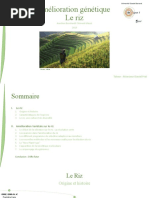 2.cours Phytotechnie Arachide | PDF | Cacahuète (Plante) | Agriculture