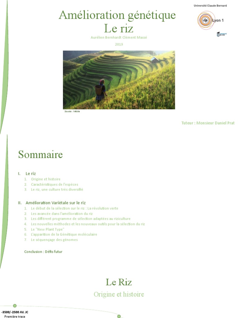 amélioration variétale du riz | PDF | Riz | Séquençage de l'ADN