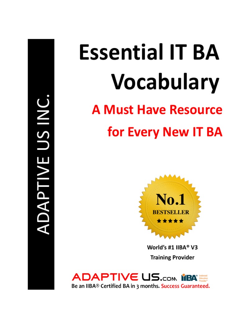 Essential IT BA Vocabulary | PDF | Use Case | Business Analysis