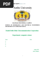 Final Internship Report | PDF | Optical Fiber | Computer Network