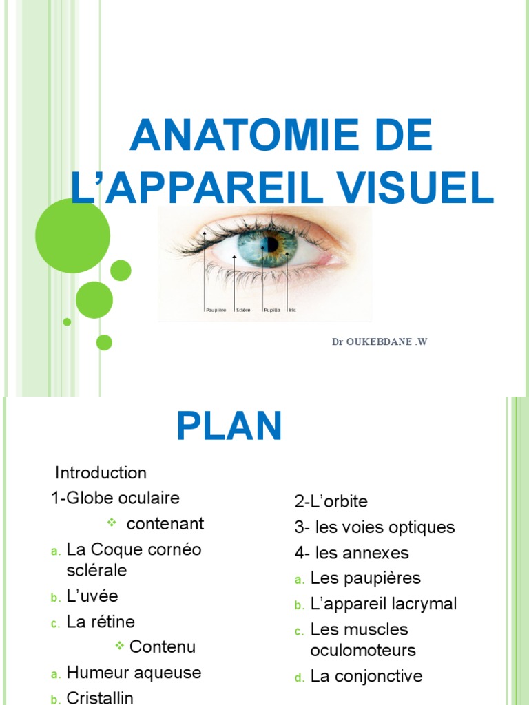1.anatomie de L'appareil Visuel | PDF | Cornée | Rétine