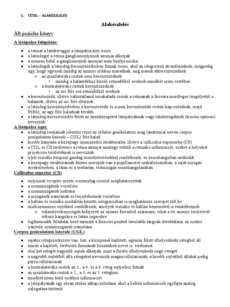 Jegyzetek Össz | PDF