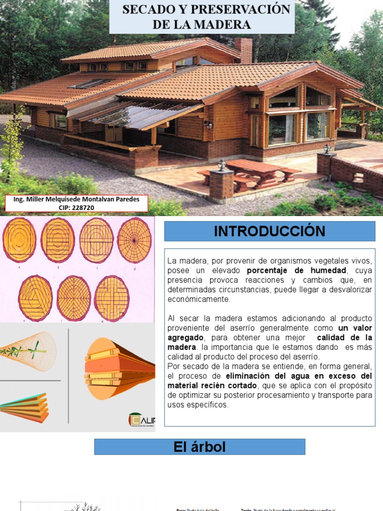 Secado de La Madera | PDF | Madera | Tallo de la planta