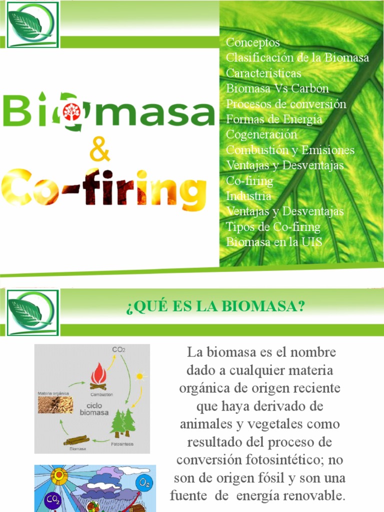 Biomasa: Energía y Procesos | PDF | Biomasa | Combustibles