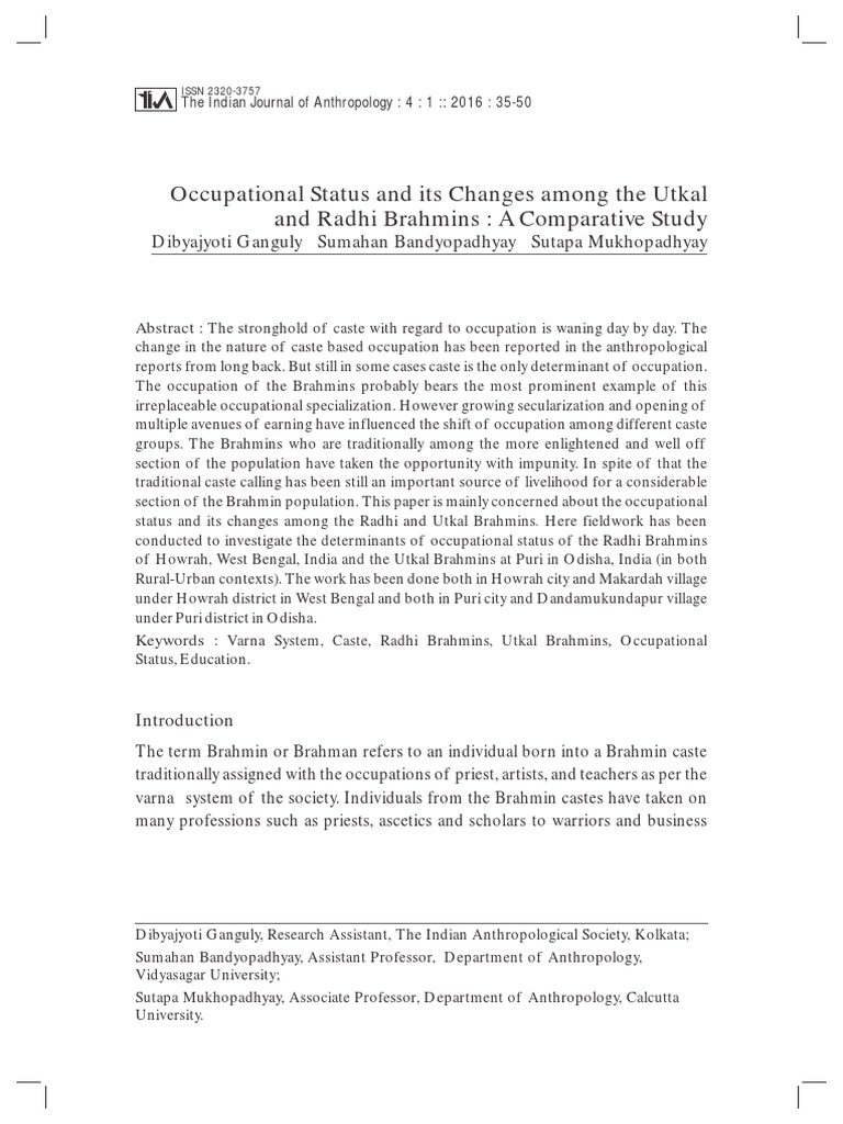 Occupational Status and Its Changes Amon | PDF