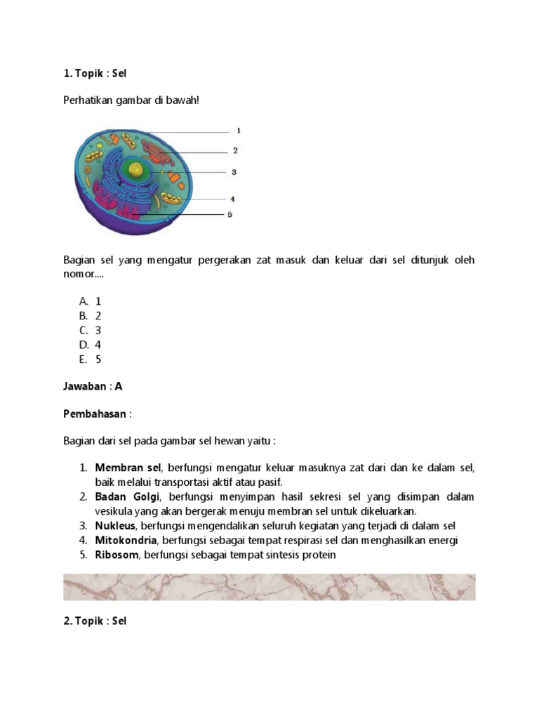 Soal Biologi Kelas 11 Semester 1 | PDF