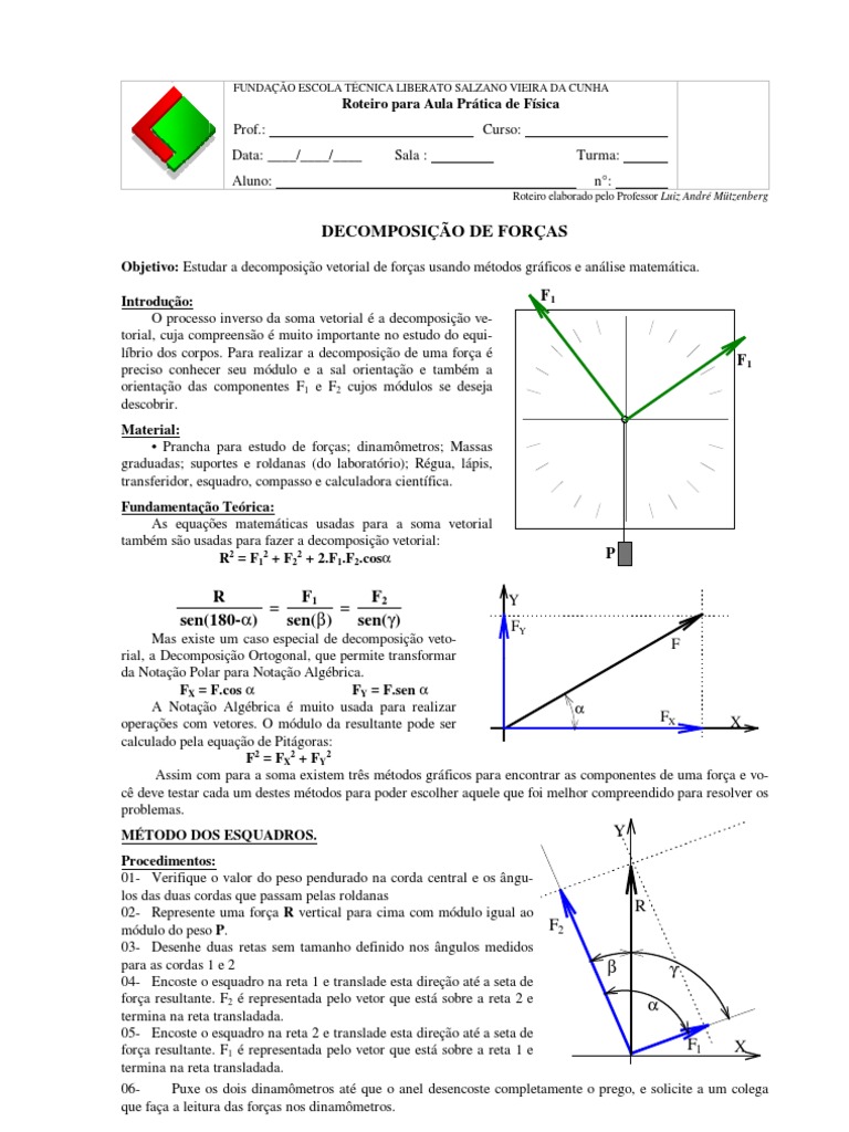 decomposiçao vetorial | Vetor Euclidiano | Física e matemática