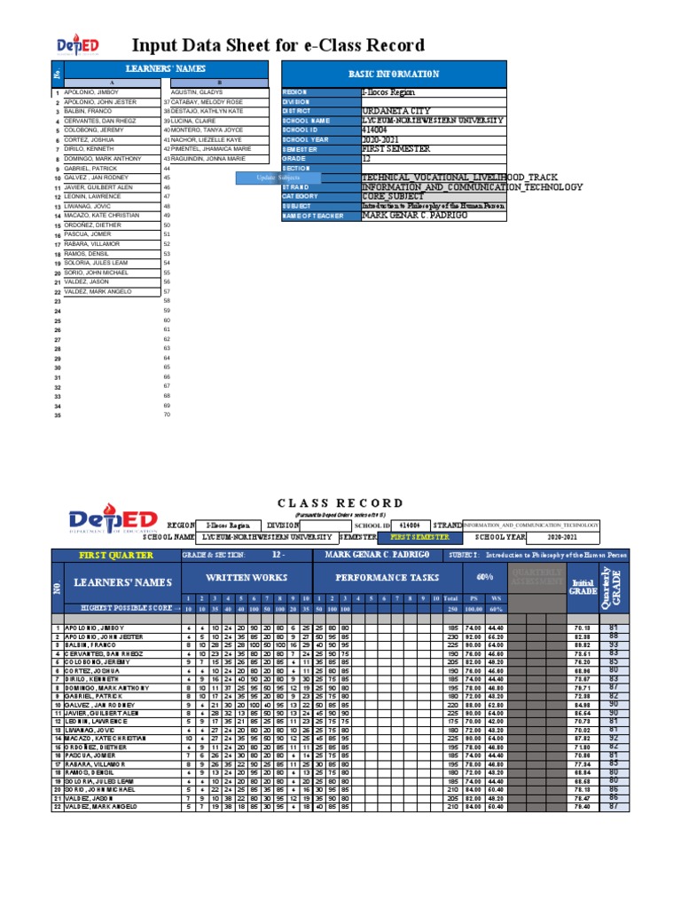 Input Data Sheet For E-Class Record: Learners' Names Basic Information | PDF | Science | Social ...