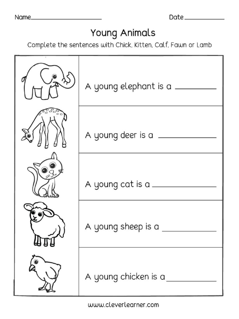 Animals and Their Young Preschool Activity Worksheets 13 | PDF