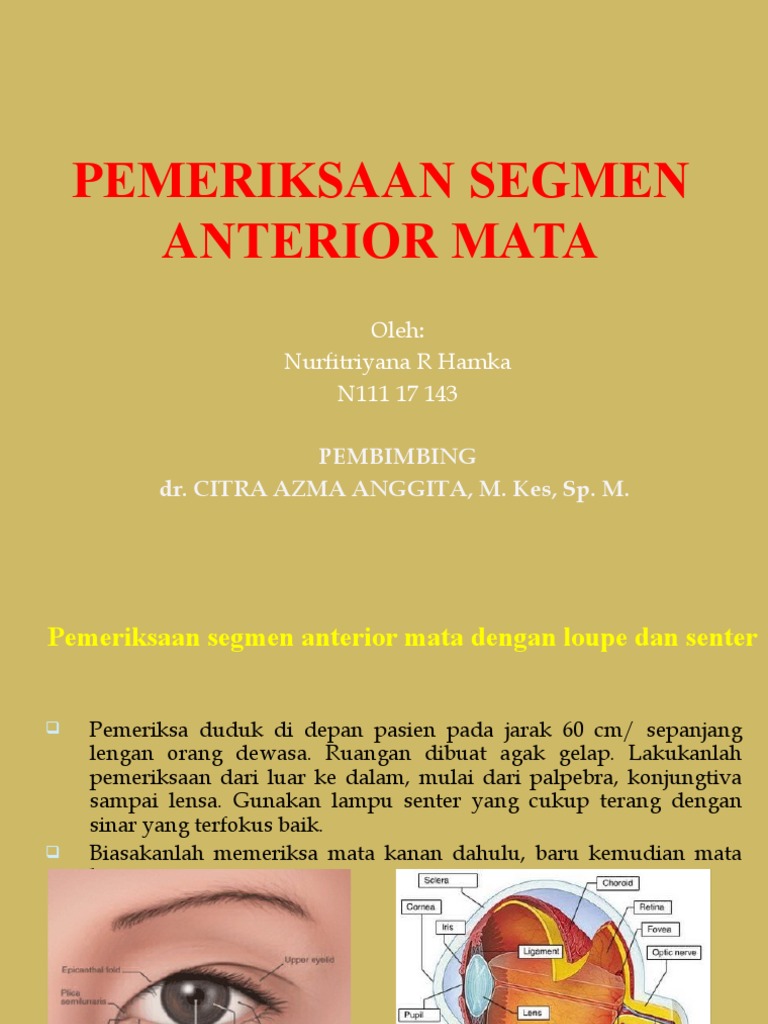 Pemeriksaan Segmen Anterior Mata | PDF