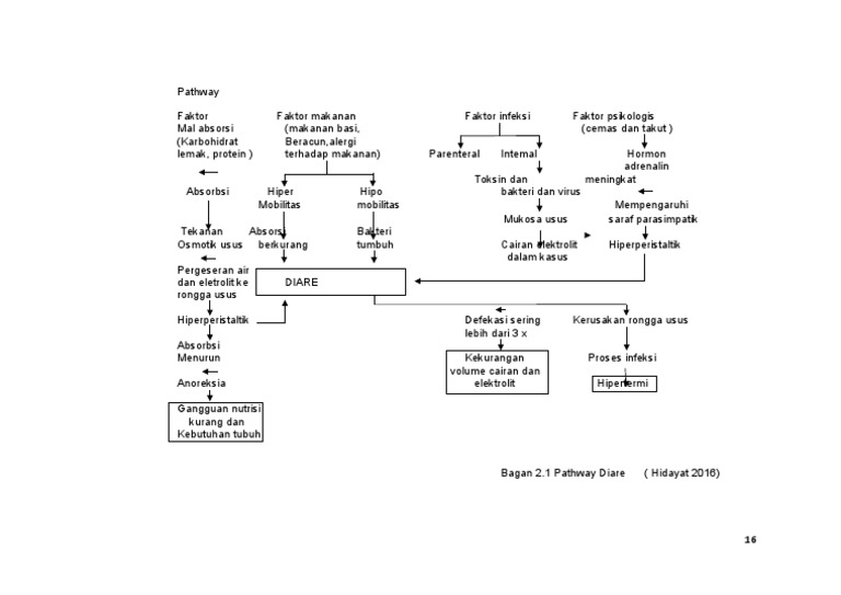 Pathway Diare | PDF