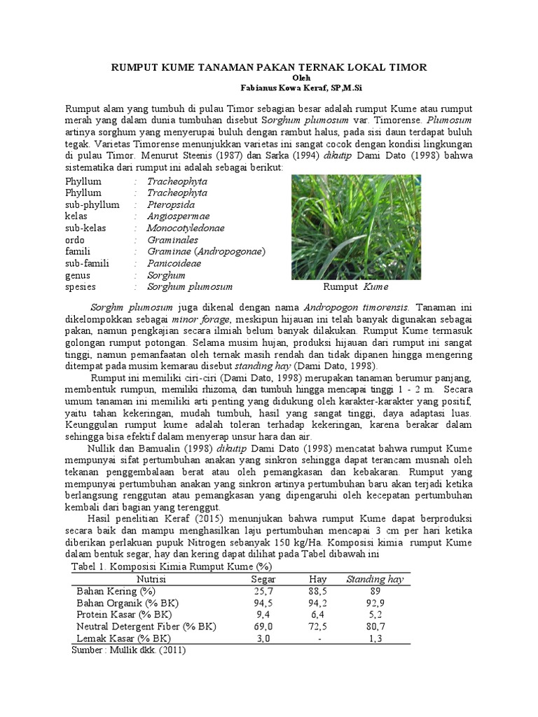 Rumput Kume Hijauan Pakan Ternak Lokal NTT | PDF
