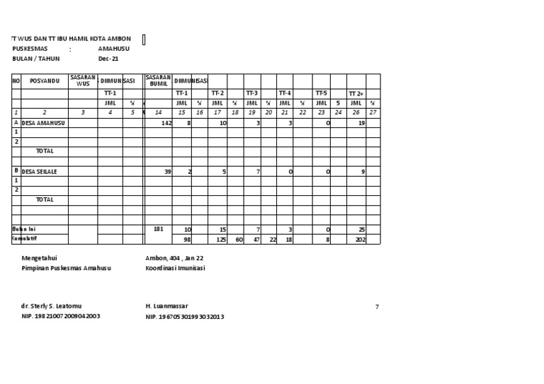 FORMAT LAPORAN HASIL IMUNISASI TT WUS DAN TT BUMIL KOTA AMBON Des 21 | PDF