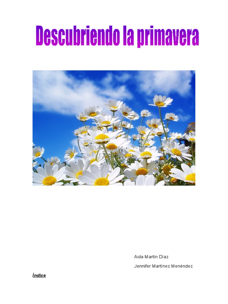 Descubriendo La Primavera | PDF | Cognición | Las emociones