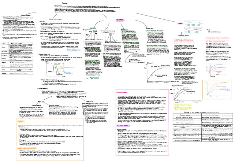 Enzymes Concept Map | Download Free PDF | Enzyme | Metabolism