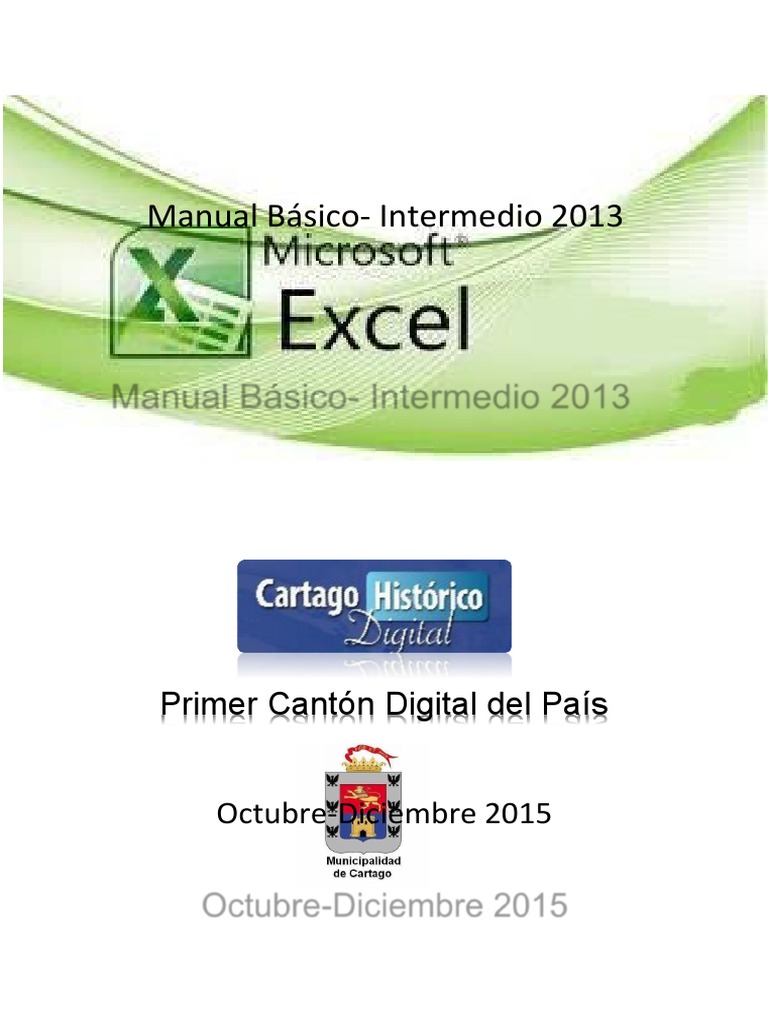 Manual de Excel | PDF