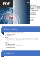 Az Emberi Test Felépítése Anatómia Ápolás | PDF