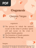 HBNC New Monthly Format 2024 With 30 Block Wise-1 | PDF | Low Birth ...