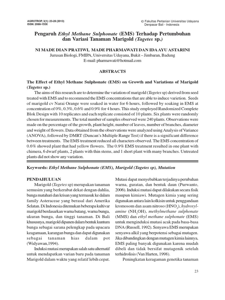 Pengaruh EMS Terhadap Pertumbuhan Dan Variasi Tanaman Marigold | PDF ...