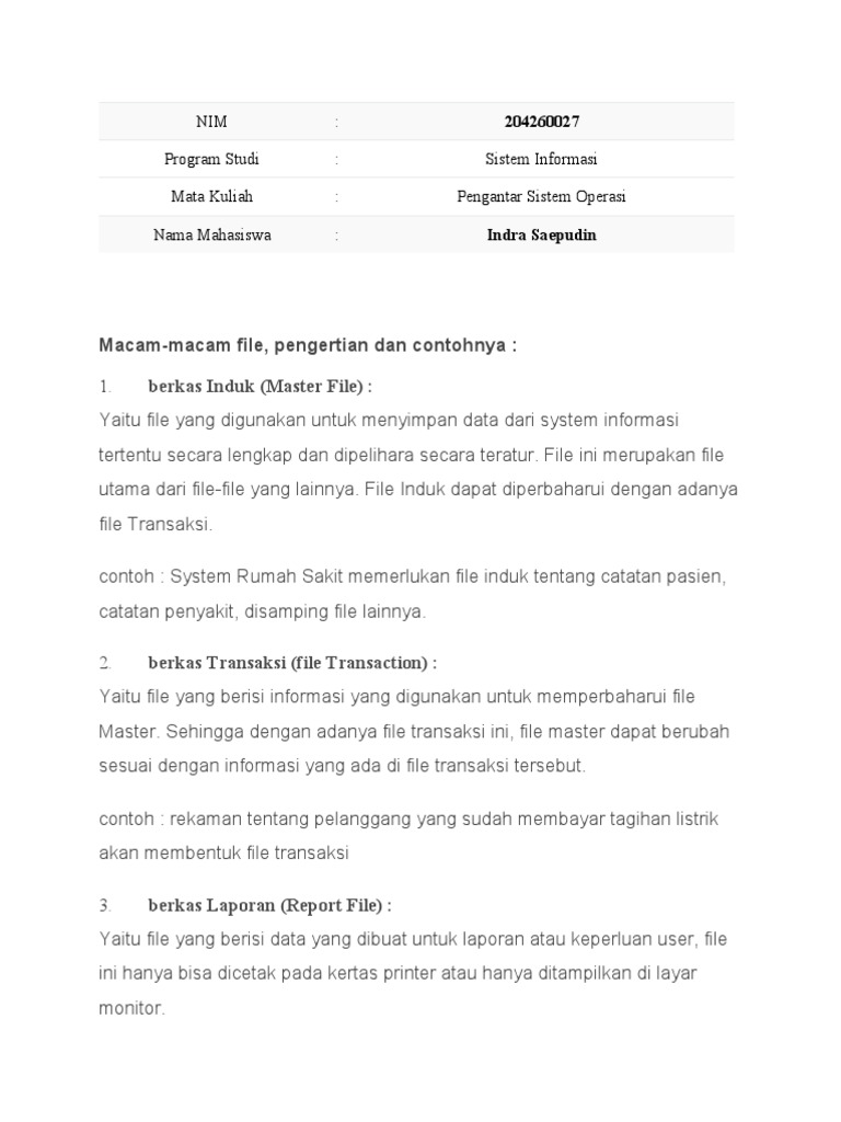 Jenis-Jenis File dalam Sistem Informasi | PDF | Teknologi & Rekayasa