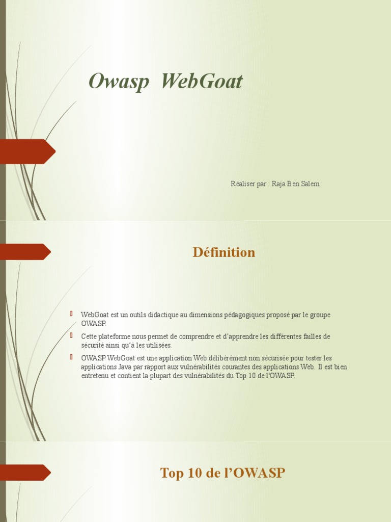 Owasp WebGoat | PDF