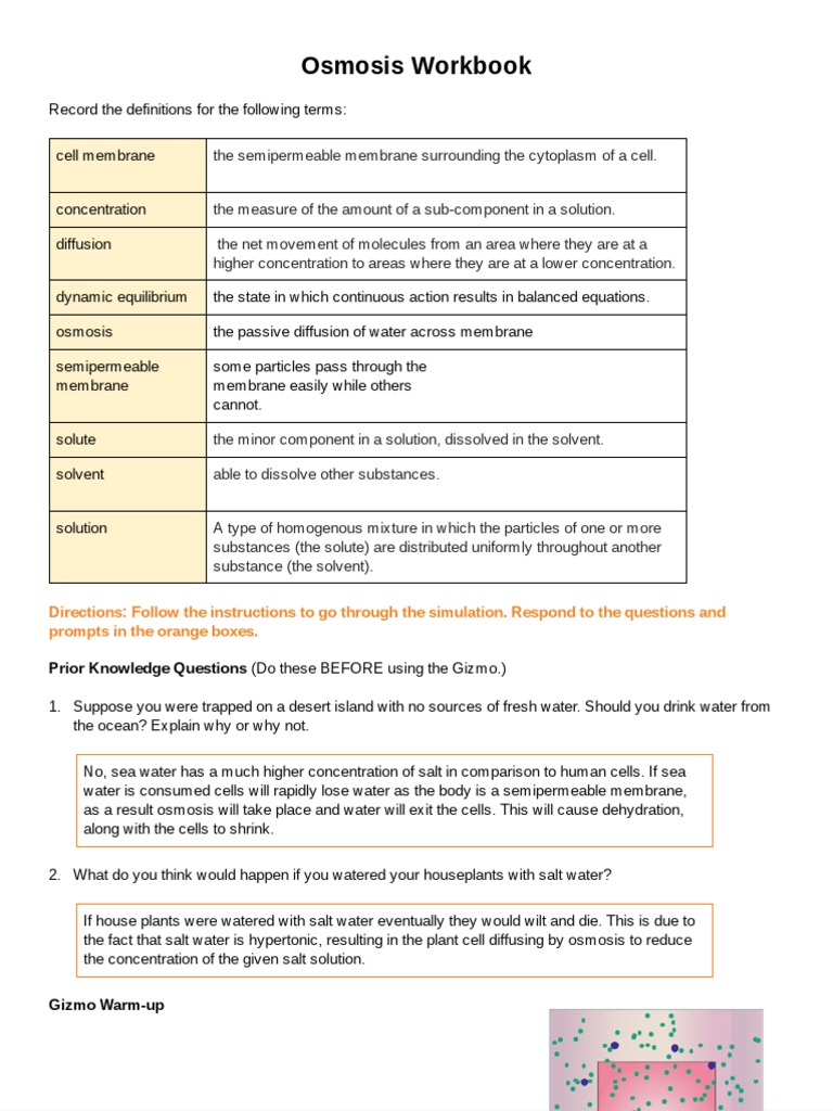 Good Copy of Osmosis Workbook | PDF