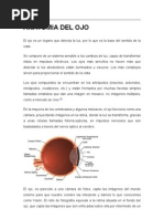 Fondo de Ojo Normal | PDF | Ojo humano | Oftalmología