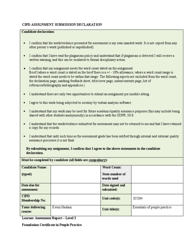 Ali - 3CO04 - Task 2 | PDF | Interview | Recruitment