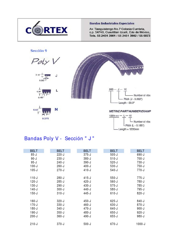 Bandas Poly V - Sección " J ": Belt Belt Belt Belt Belt | PDF