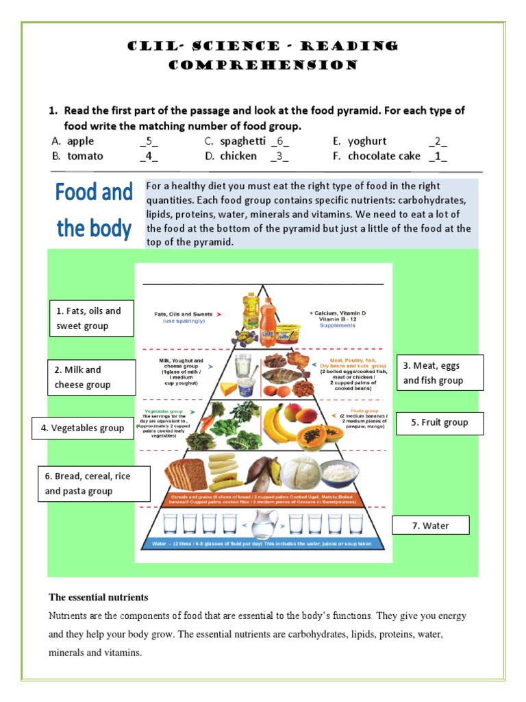 Food Pyramid Word Worksheet | PDF | Foods | Carbohydrates