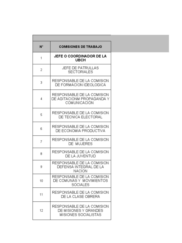 ESTRUCTURA UBCH BARINITAS Actualizada | PDF