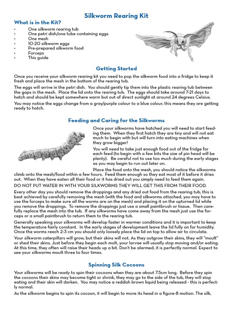 Silkworm Rearing Kit: What Is in The Kit? | PDF | Pupa | Silk