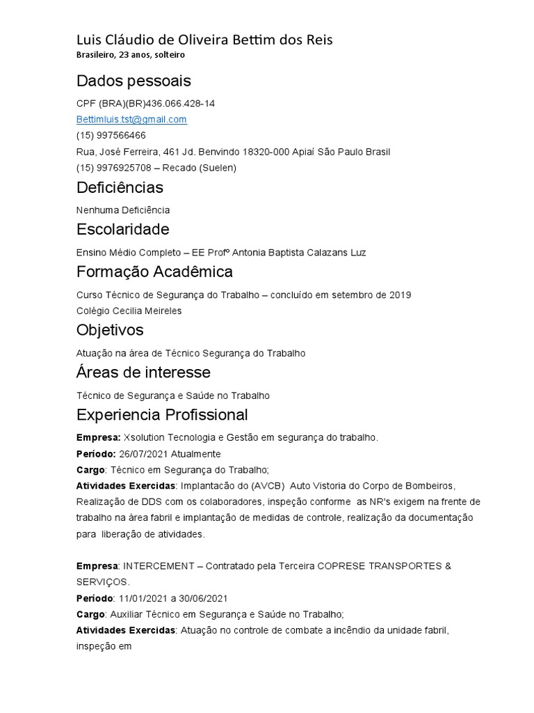 Curriculo - Luis | PDF