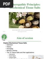 Cell Salt Chart | PDF